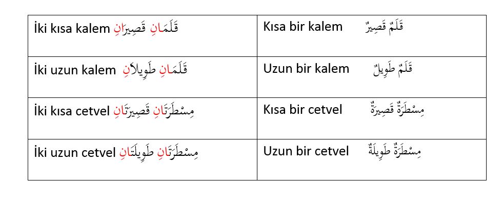 Hafta 5: İkil İsimleri Tanıyalım:MOOC_LAN_004-Arapça Öğreniyorum 1